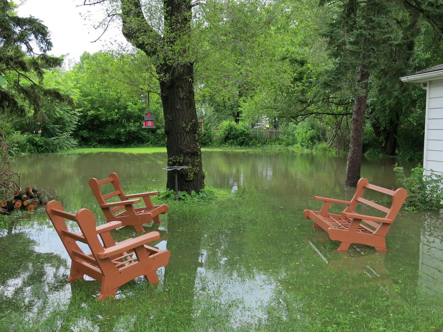 Going Green For Clean Water – River Network