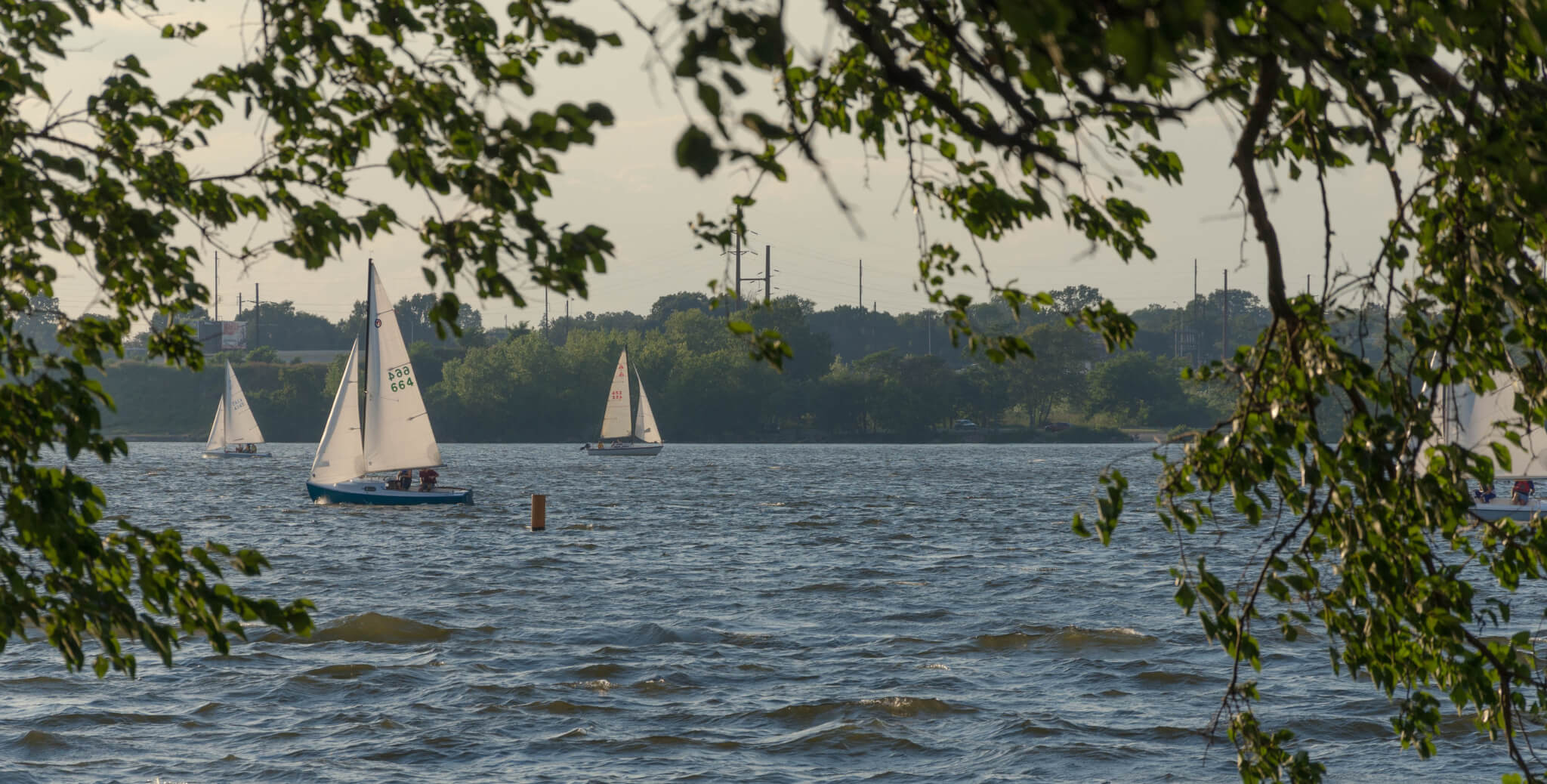 Leaf-framed Sailboat – River Network