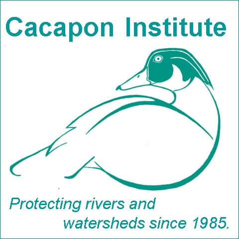 ci-duck-logo-teal-no-www – River Network