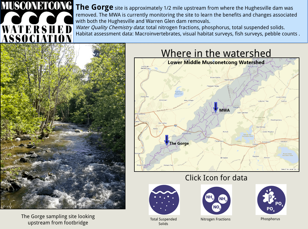 Webinar Series: Putting Your Data to Its Most Effective Uses – River ...