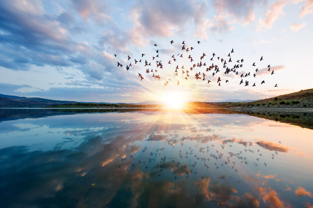 Hope, Water, and Community – River Network