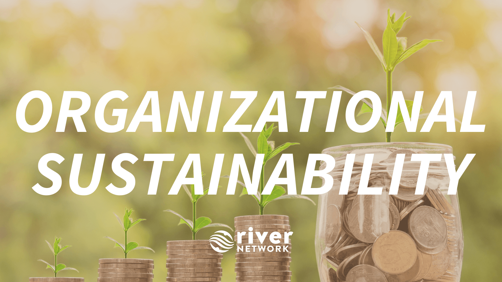 Building Strong Champions with Organizational Sustainability – River ...