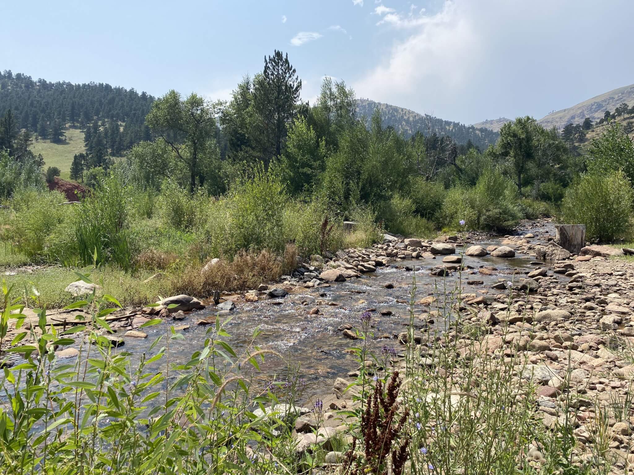 49 Years of Clean Water Protections – Looking Toward the Future – River ...