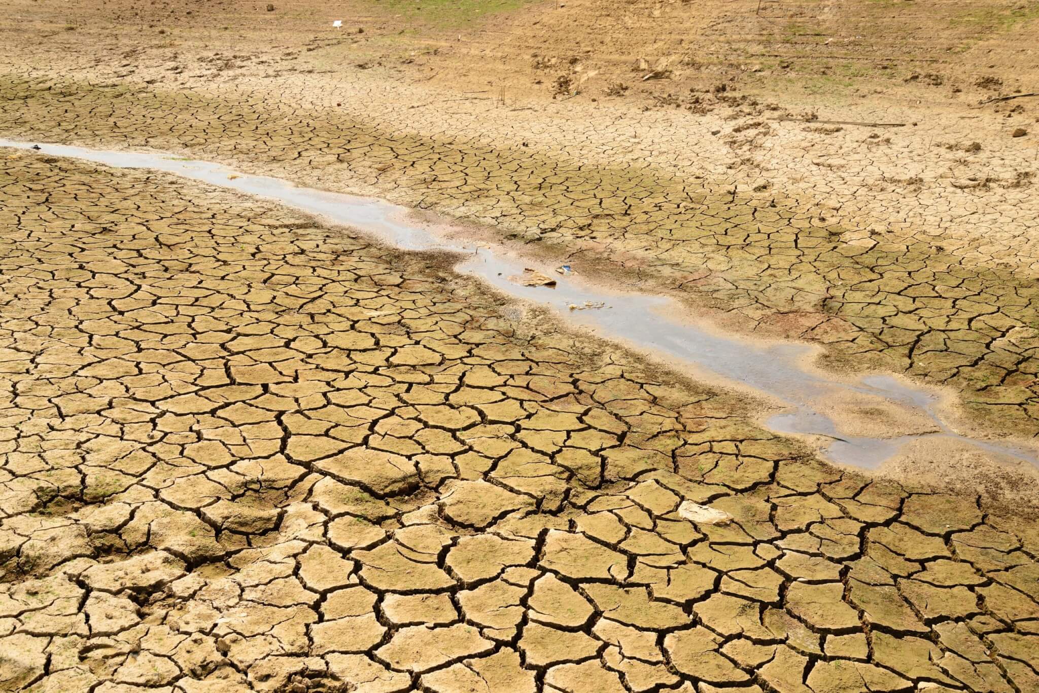 dry-river-bed_drought – River Network