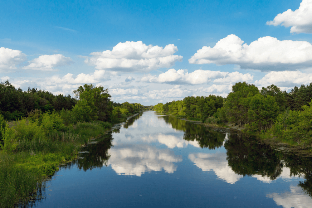 Our Key Issues and the Next Five Years - River Network