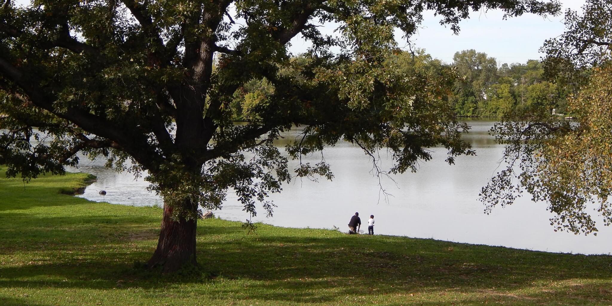Urban Forestry River Network