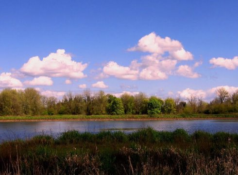 River Network – Connecting People, Saving Rivers