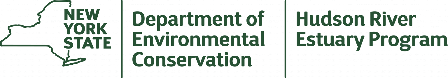 Organizational Health & Growth: Self Paced Learning – River Network